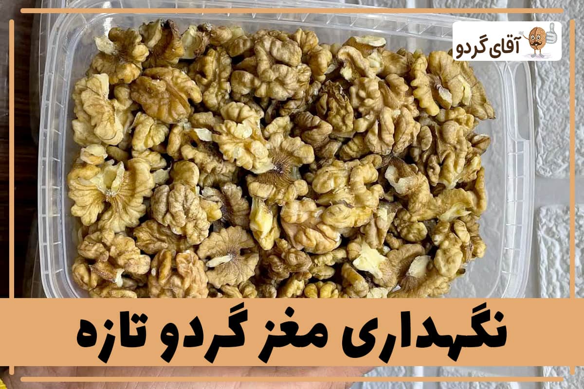چگونه مغز گردو را تازه نگه داریم ️ نحوه نگهداری مغز گردو